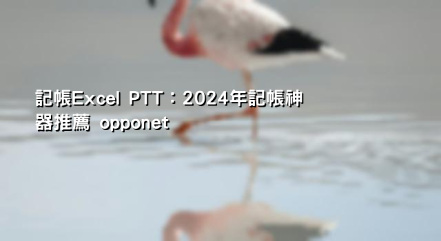 記帳Excel PTT：2024年記帳神器推薦 opponet :: 記帳王阿聰